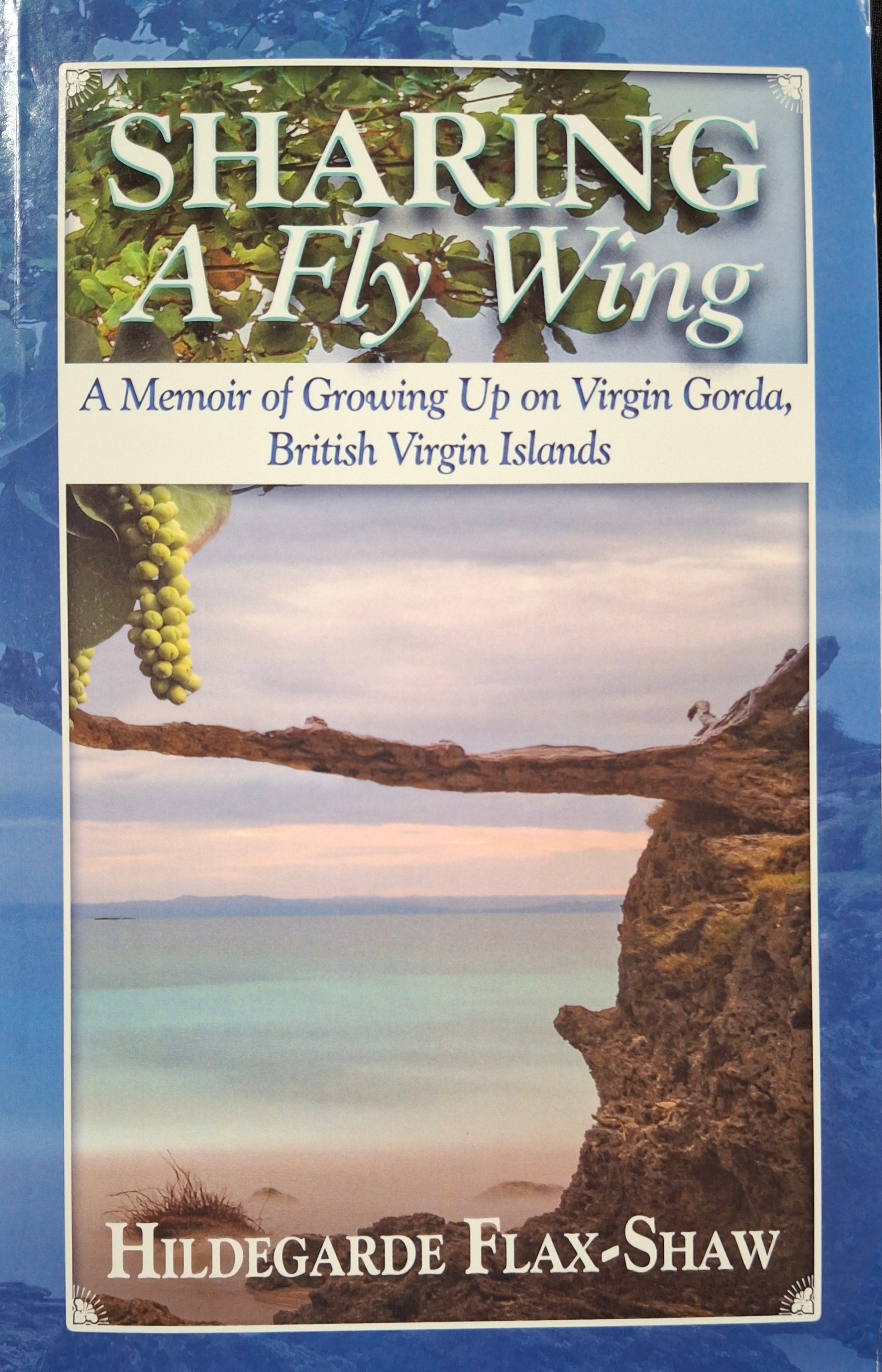 Book Clubs to be Launched on Tortola, Anegada and Virgin Gorda | GOV.VG